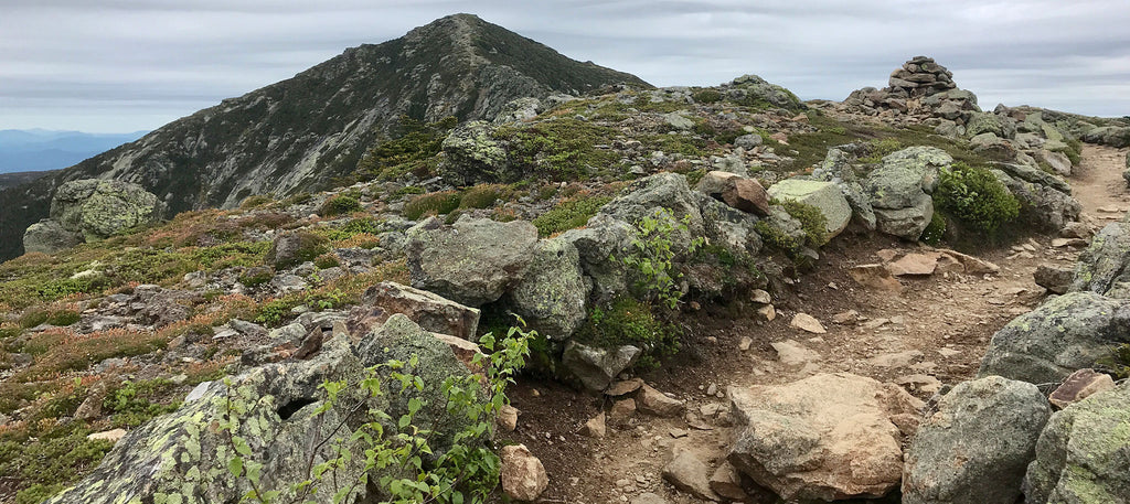 Zero Evidence at the Scene: The Essence and Importance of Leave No Tra