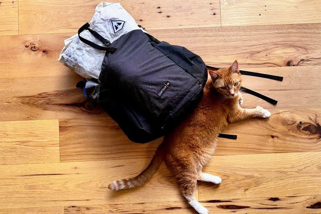 GET THE EFFICIENCY OUT OF YOUR SYSTEM: A HOW-TO WITH TINA CURRIN